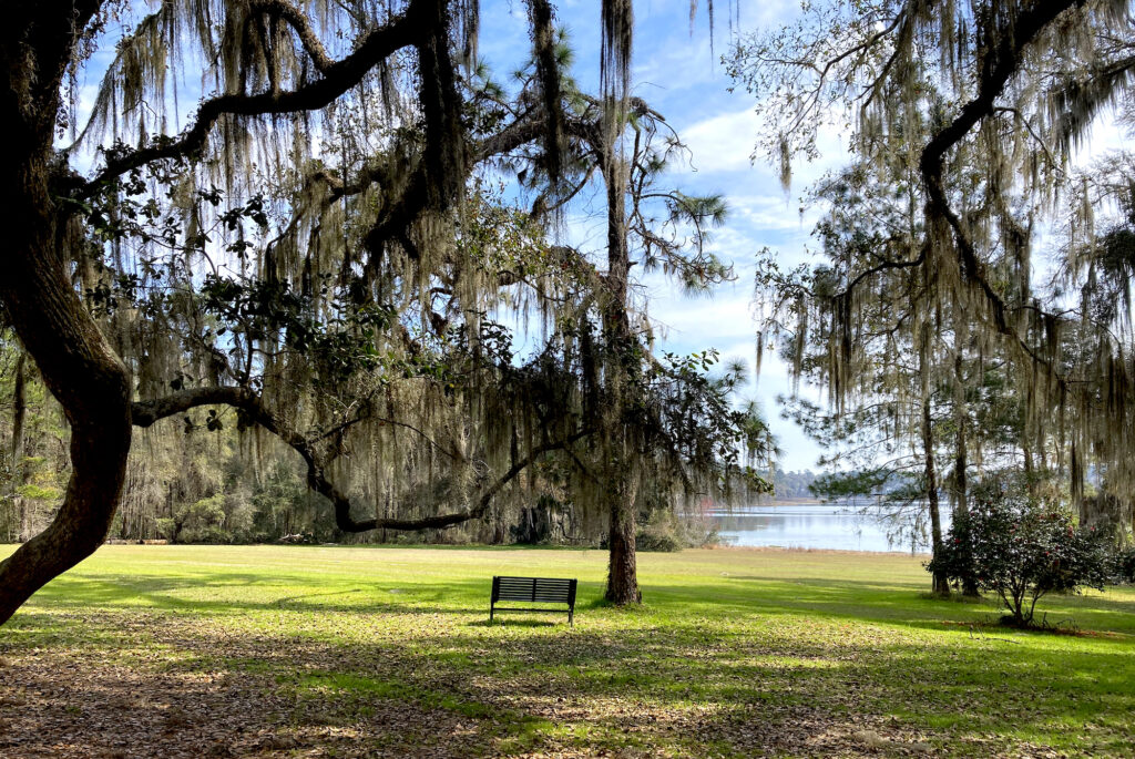 Maclay Gardens is One of Tallahassee’s Hidden Gems | Worthy Detours